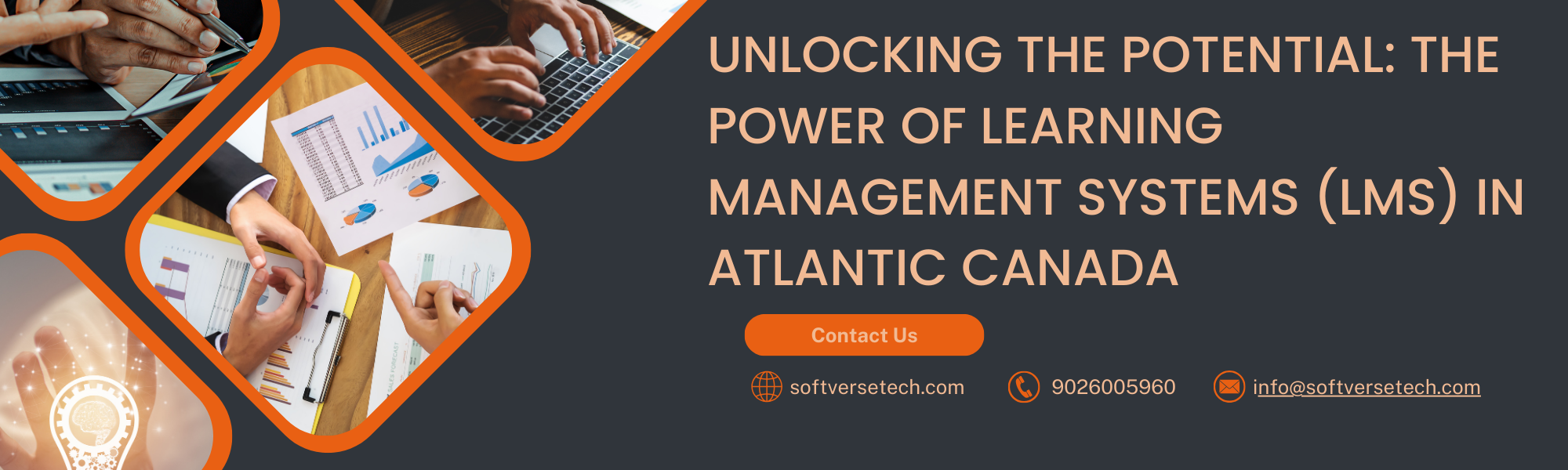 Unlocking the Potential: The Power of Learning Management Systems (LMS ...